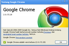 Google Chrome 2.0 Telah Di Rilis - RajaNih Blog